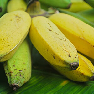 Banane Puwalu - Fruchtlawine