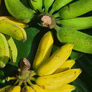 Banane Puwalu - Fruchtlawine