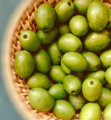 Ceylon Olive (Weralu) - Fruchtlawine